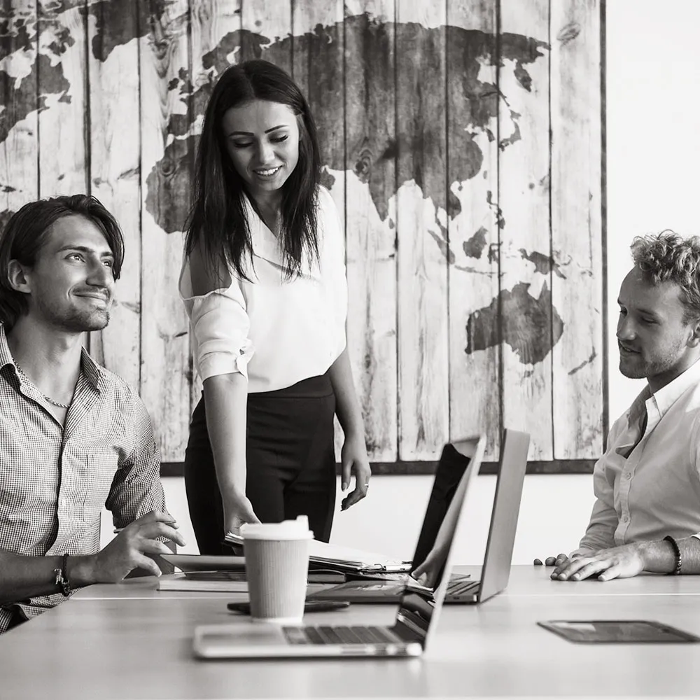 Conversion & Integration Support - CCG Catalyst Consulting Group